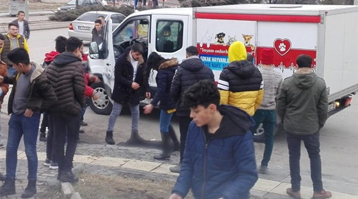Yenikent'te köpekleri zehirleyerek öldürdüler Yenikent'te köpekleri zehirleyerek öldürdüler